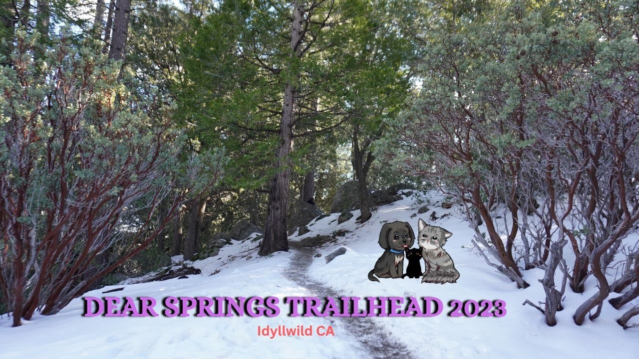 Dear Springs Trailhead 2023 | Idyllwild CA - YouTube
