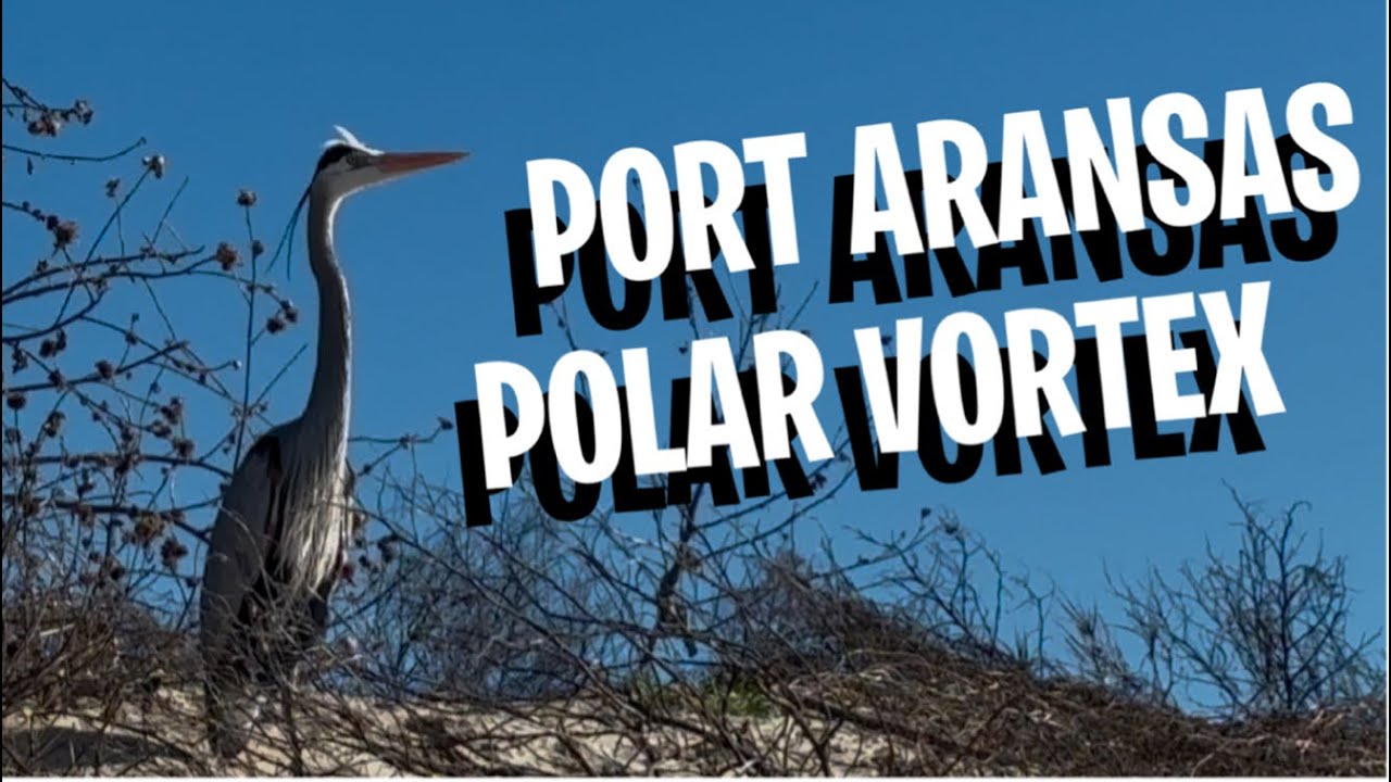 Port Aransas Polar Vortex - YouTube