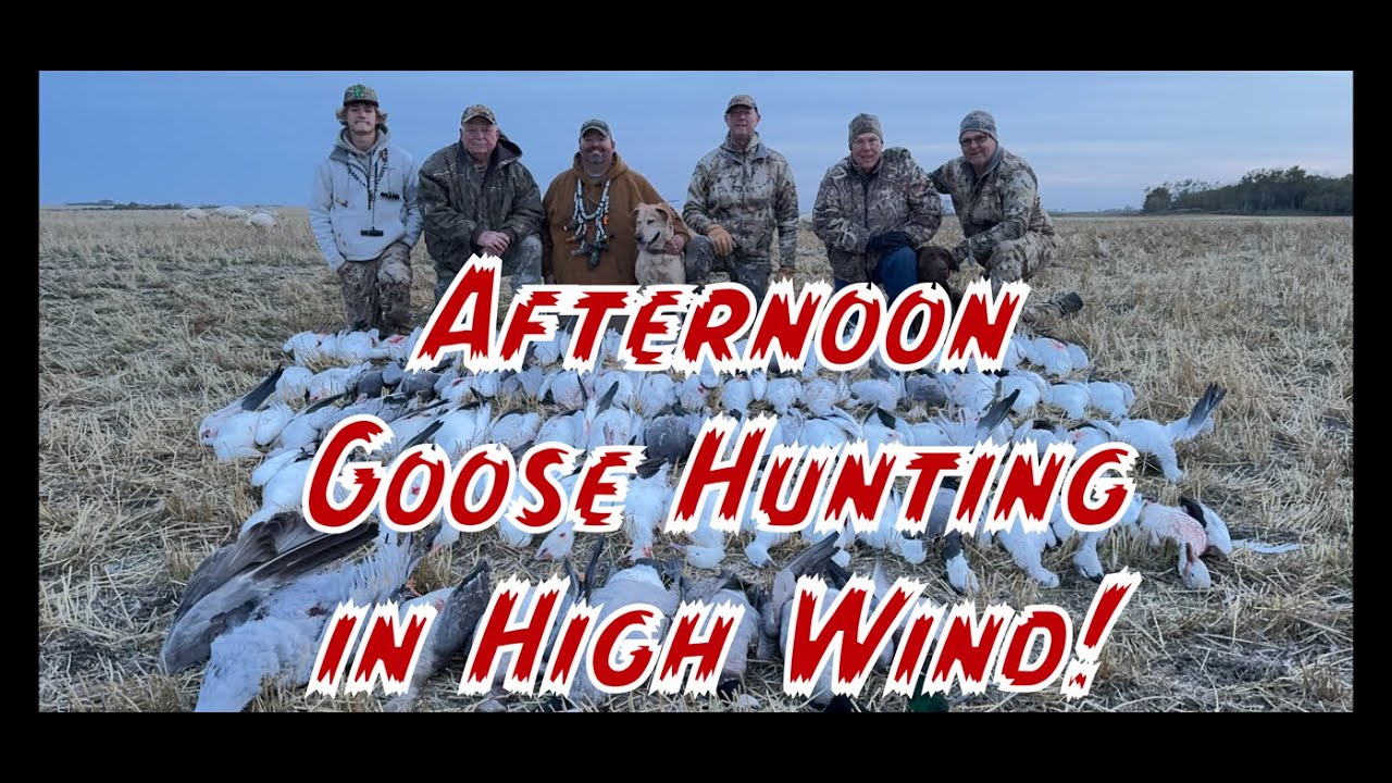 An Incredible High Wind Goose Hunt! - YouTube