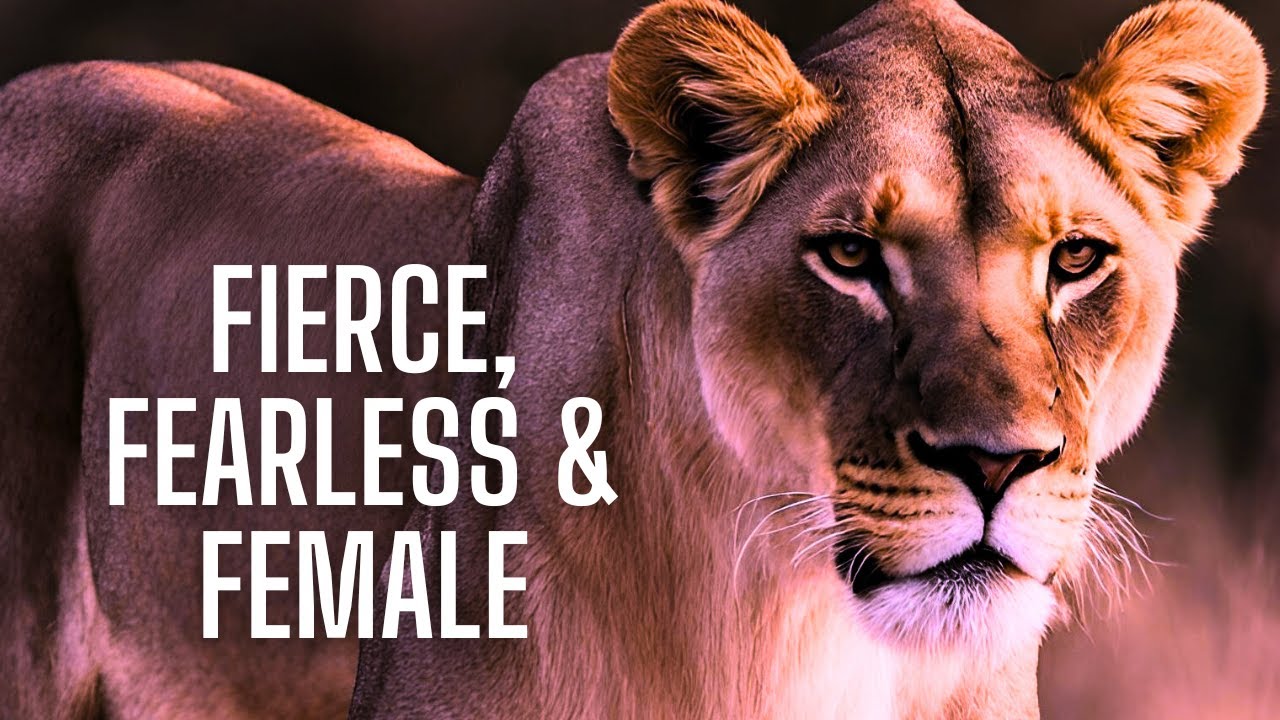 FIERCE, FEARLESS AND FEMALE | Motivational Speeches From Women For ...