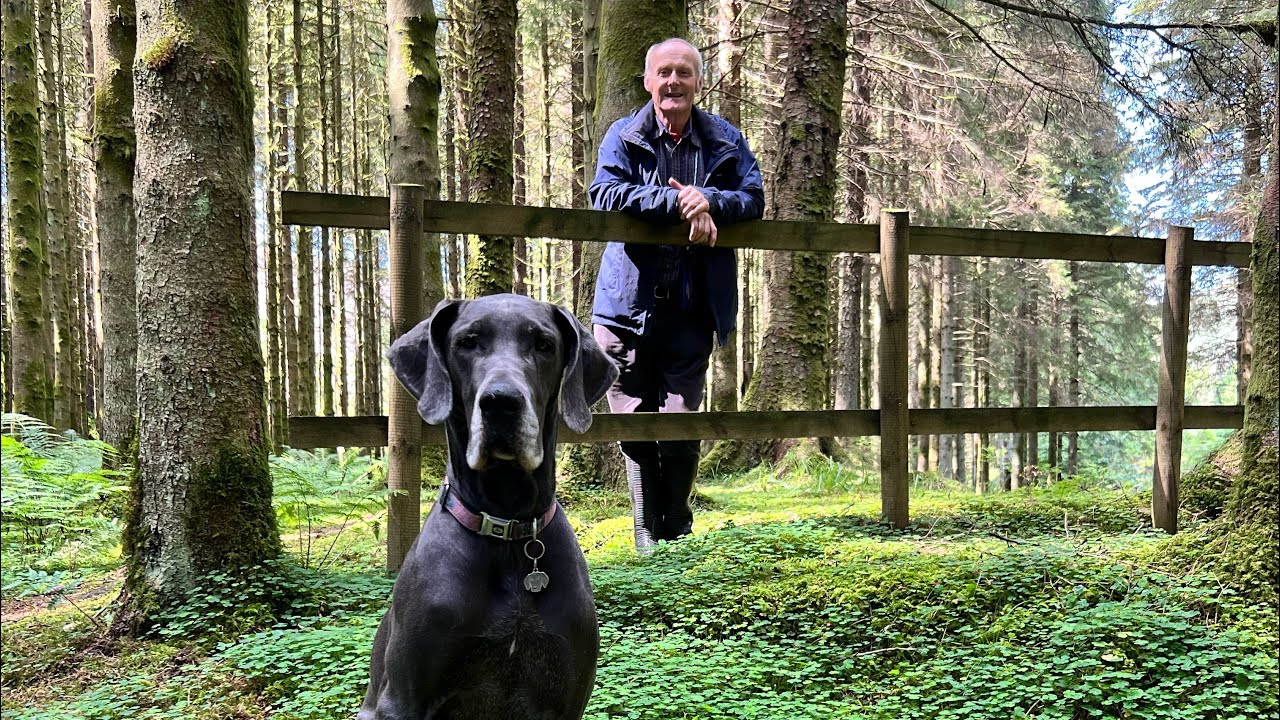 Craik Forest - YouTube