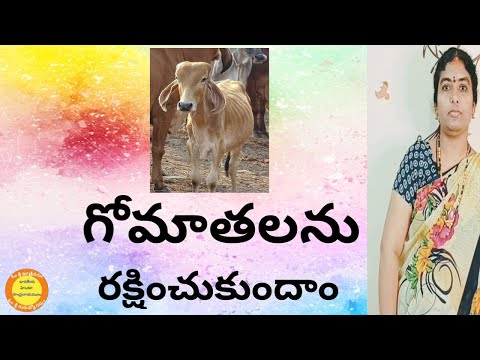 what is significance of goseva?#BharatiyaHinduSaampradayamulu. #goseva ...