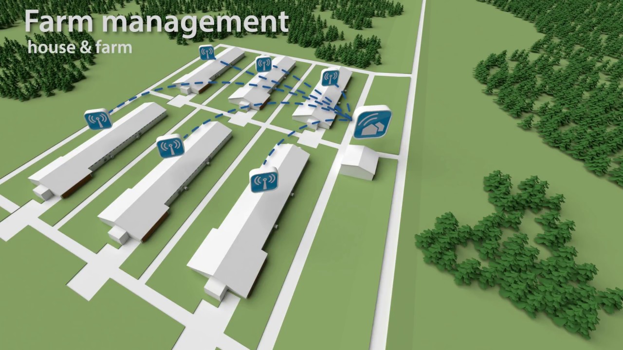 Combi-Tunnel Ventilation for Poultry - YouTube