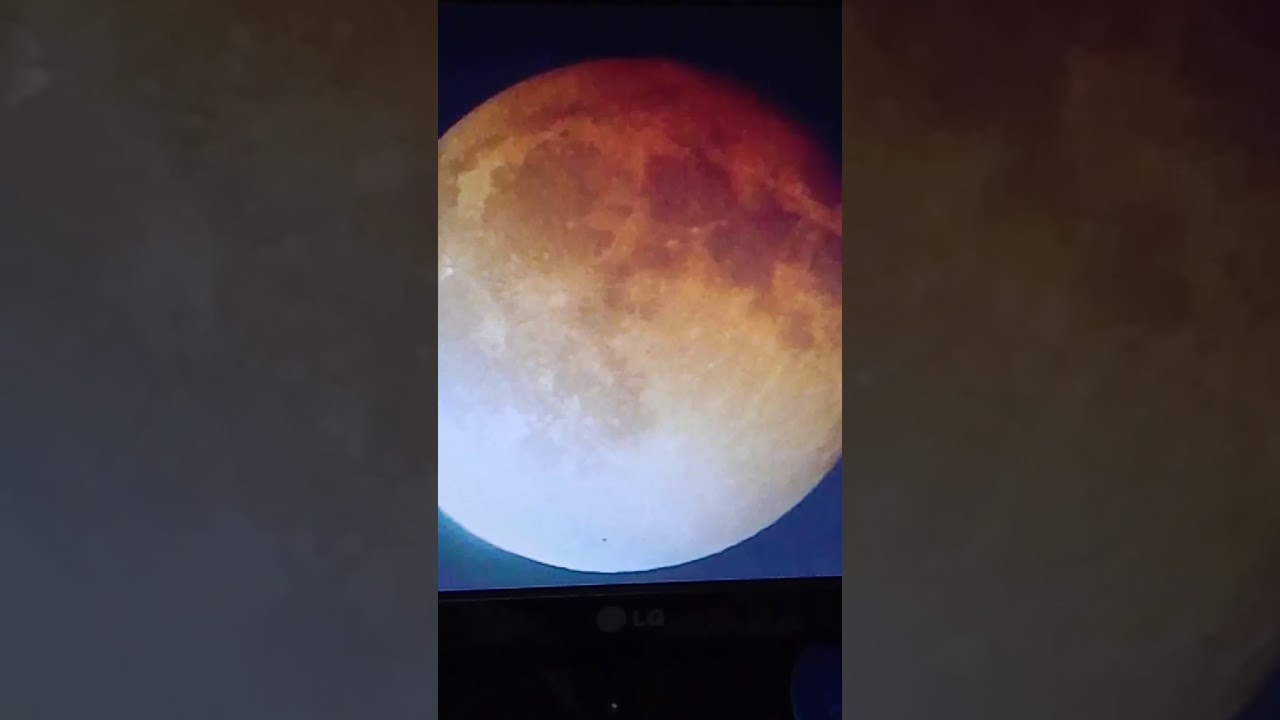 Wolf lunar eclipse - YouTube