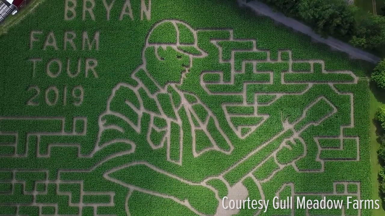 Michigan farm creates Luke Bryan corn maze. - YouTube