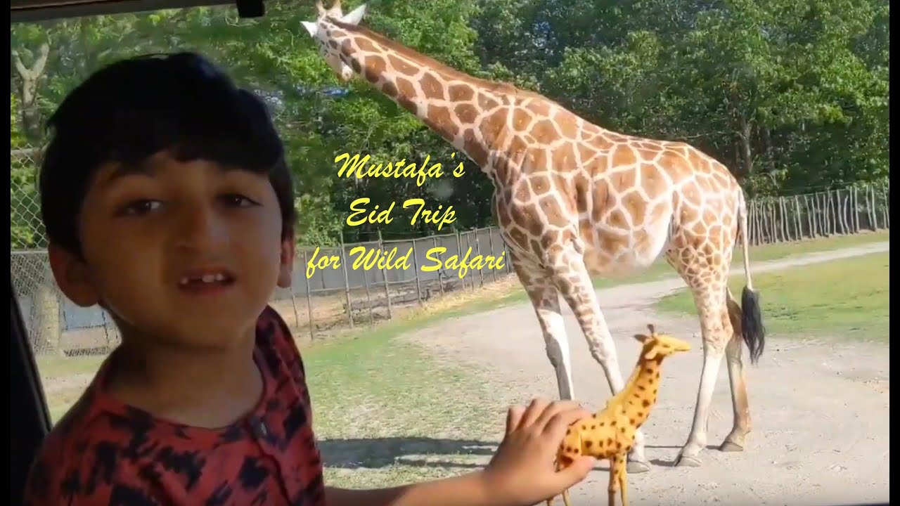 Mustafa’s Eid Trip for Wild Safari - YouTube