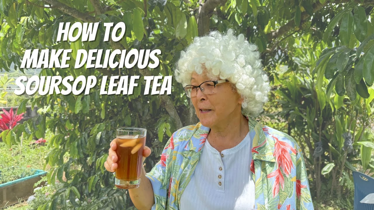 Experiment with Soursop Leaf Tea Benefits: How to make delicious tea ...