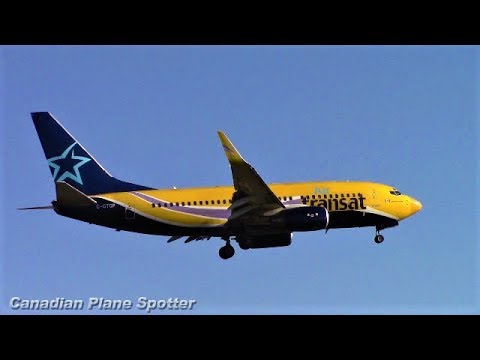 Yellow Livery! Air Transat 737-700 Landing at Montreal-Trudeau Int'l ...