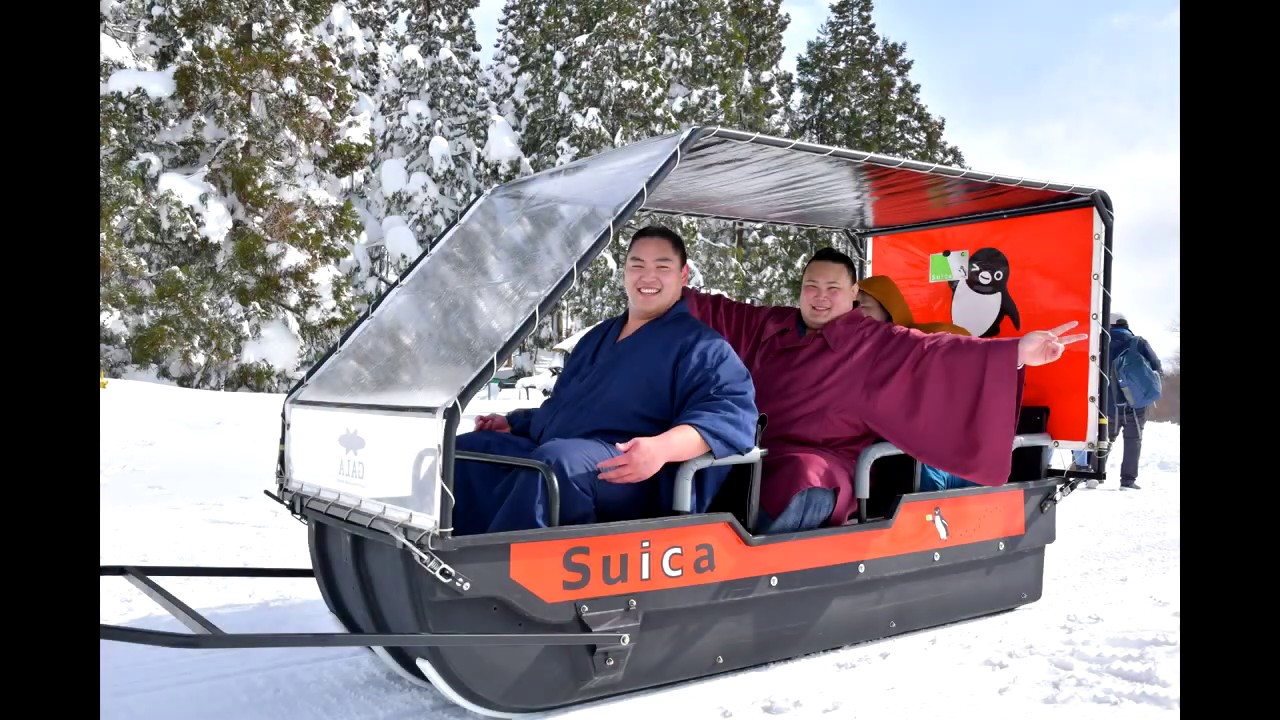 Even Sumo wrestlers can enjoy the snow! - YouTube