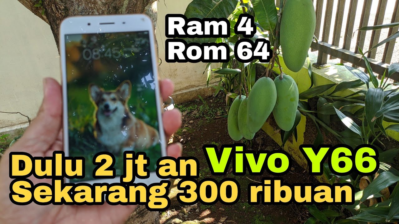 Vivo Y66 Review 2023 | WOW Kamera bening, cocok buat kebutuhan standar ...