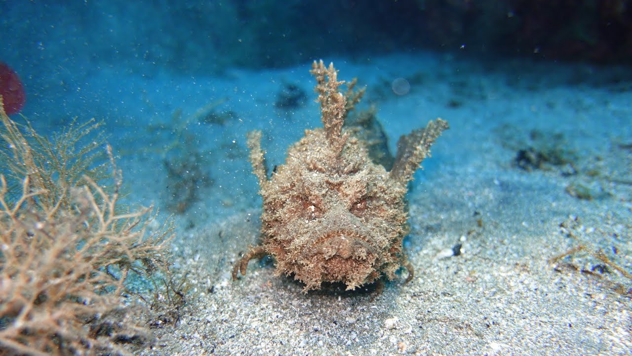 A week in Sado island - YouTube