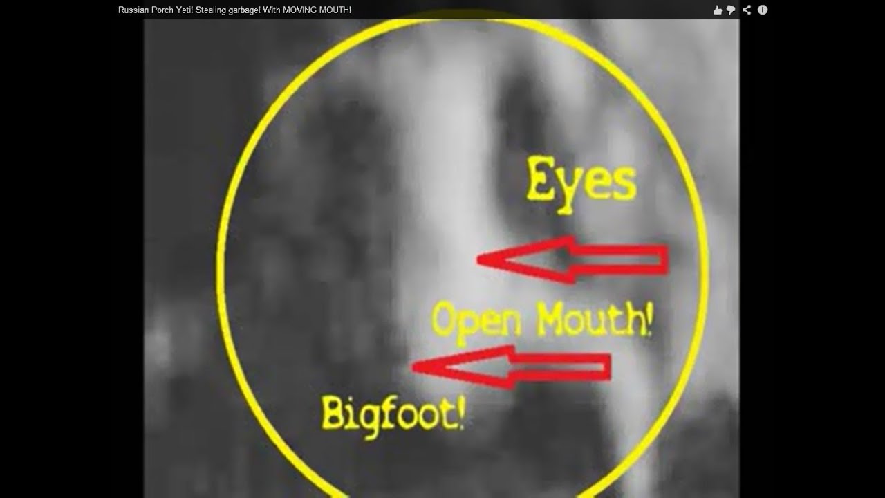 Russian porch Yeti! Mouth moves! Zen Yeti. - YouTube