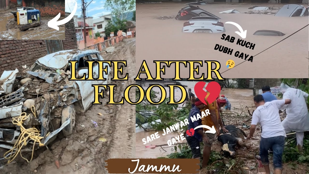 Life After Flood 💔 | The reality behind everything 🥲 - YouTube