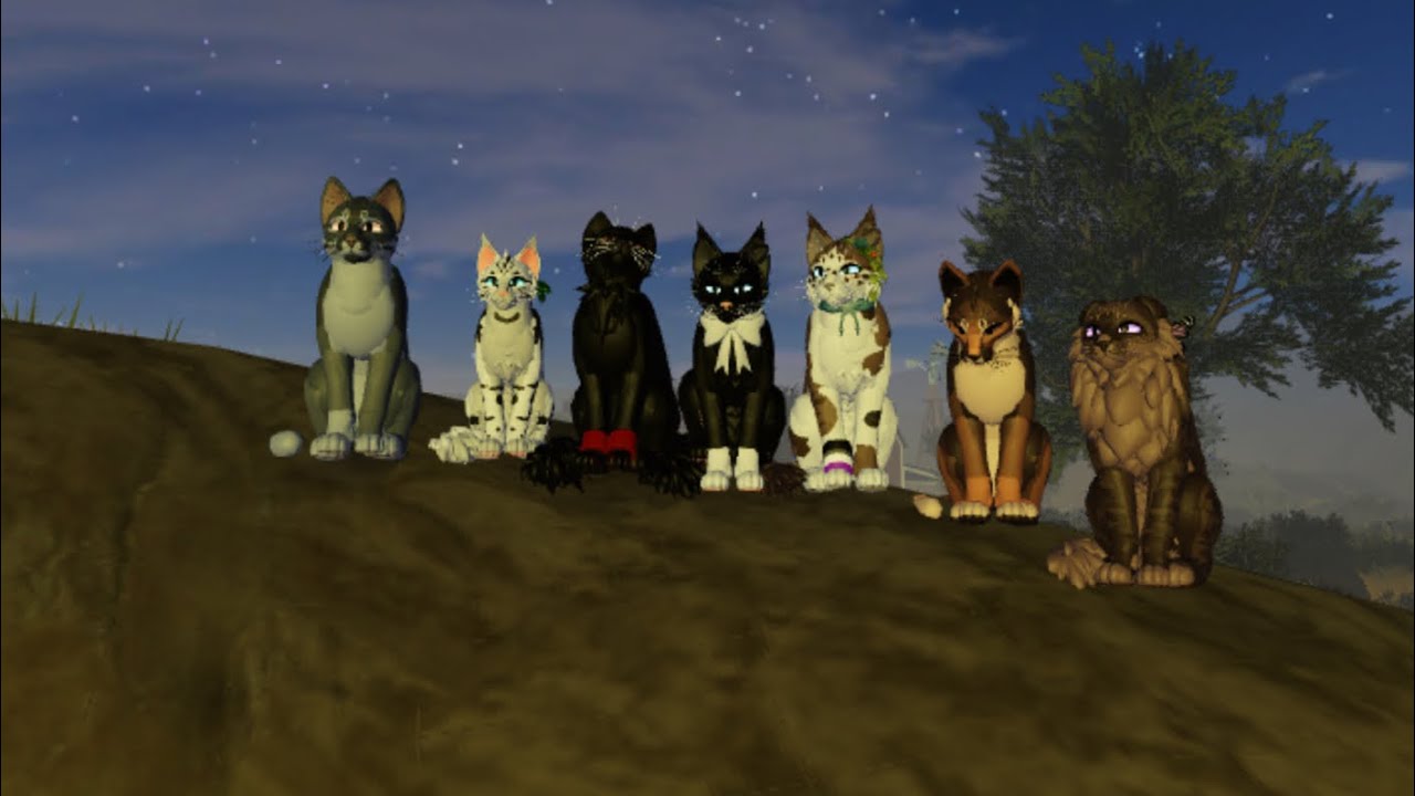 || WCUE edits #19 || Read pinned comment!! || - YouTube