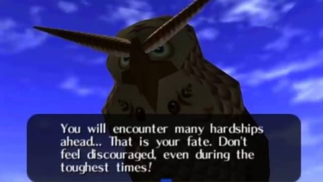 I think this guy sparked my love for owls : r/Superbowl