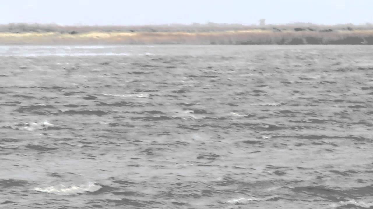 Washoe Zephyr waves - YouTube