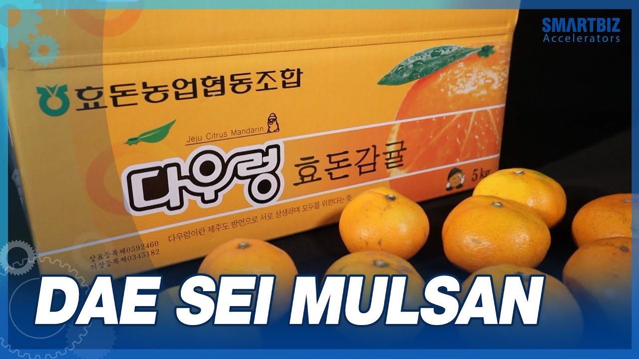 [SMARTBIZ ACCELERATORS] Providing paper packaging boxes for 30 years, DAE SEI MULSAN (대세물산 ...