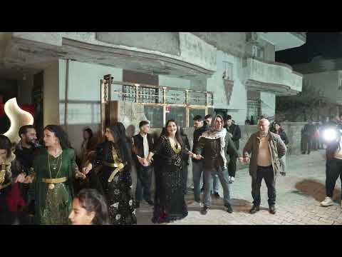 Yusuf & Sadiye Dügünü Part 1 -CİZRE - ( Grup Havin Müzik ) 2026