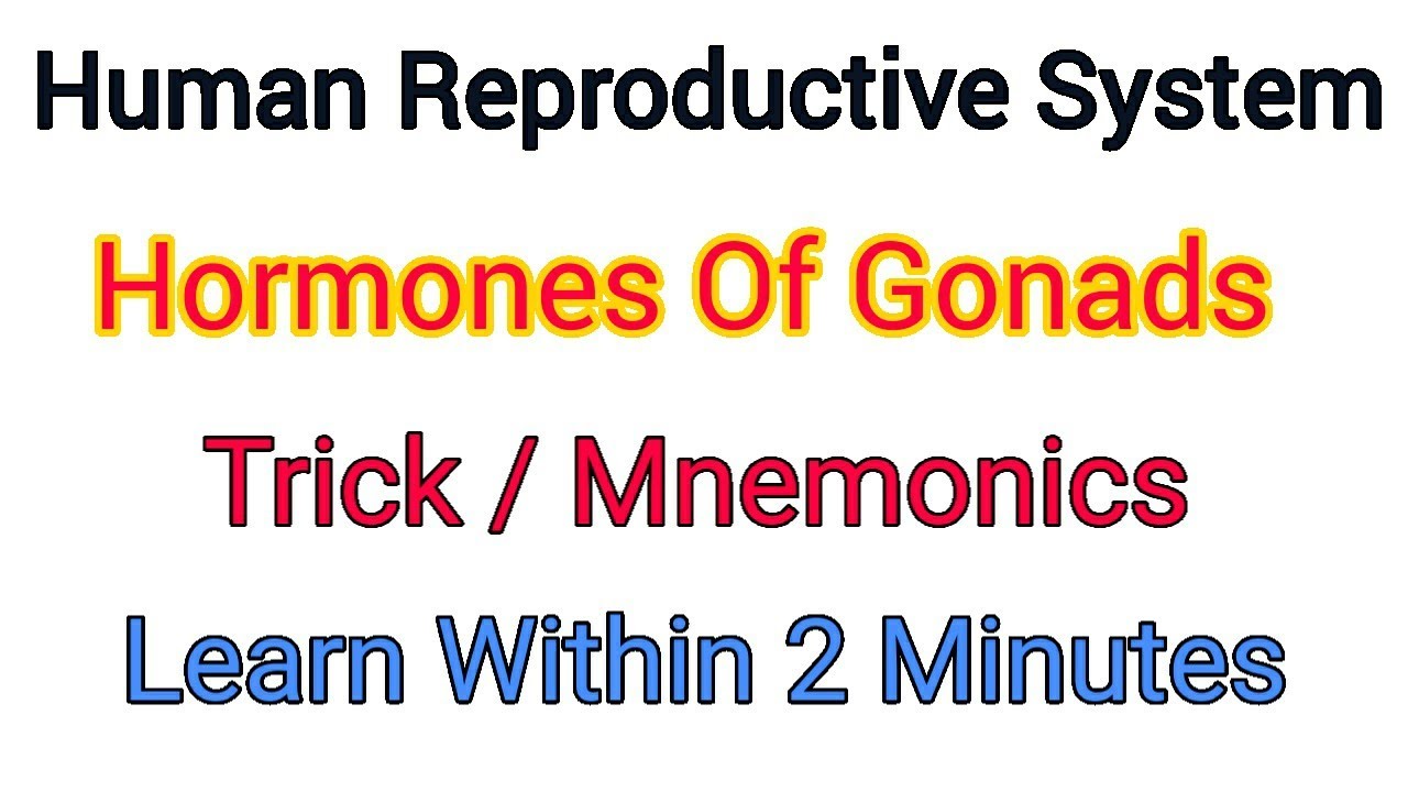 Mnemonics to Learn Hormones of Gonads || Human Reproductive System ...