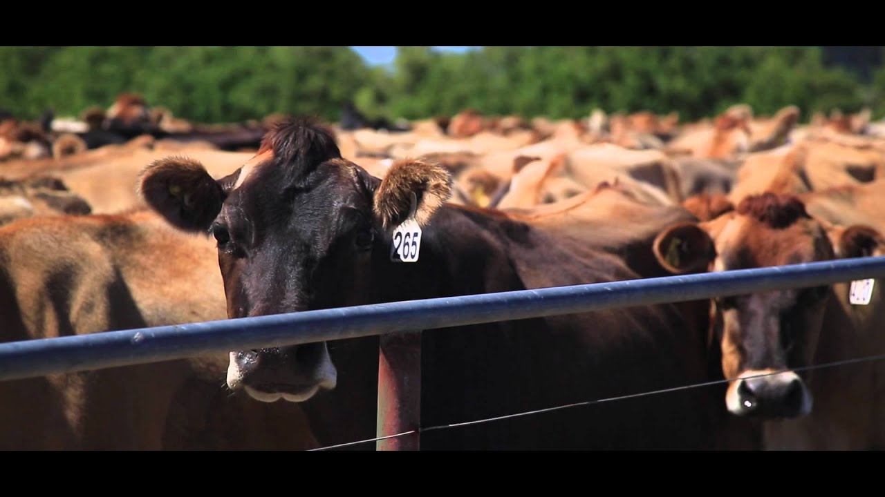 Corkill Systems Promotional Video - YouTube