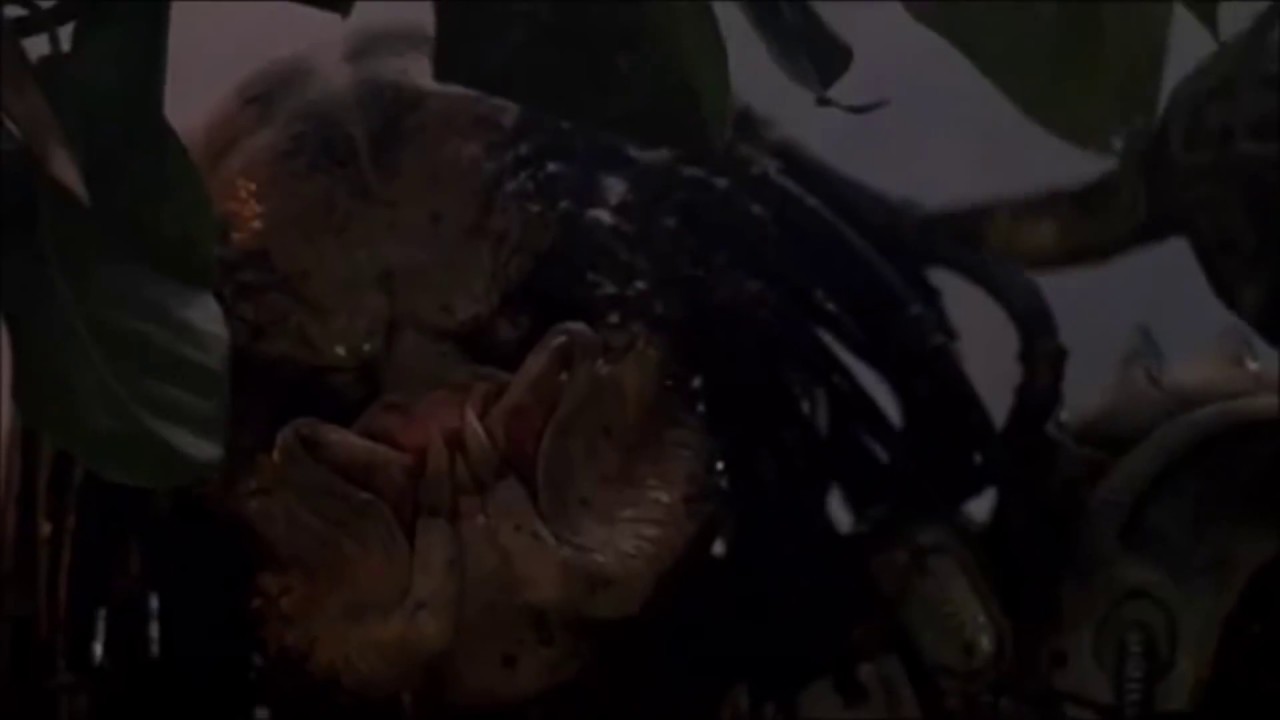 DO IT! COME ON! KILL ME NOW! IM HERE! Arnold Schwarzenegger - YouTube