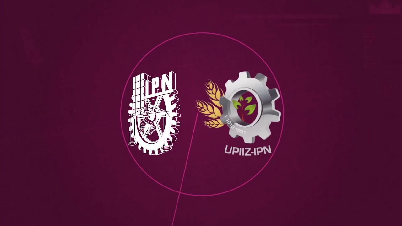 UPIIZ ALIMENTOS - YouTube
