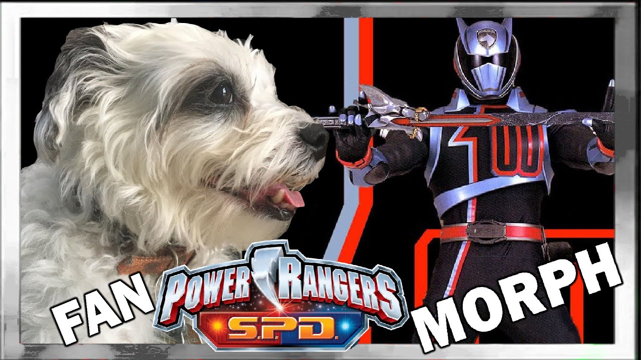S.P.D. Shadow Ranger Dog Fan Morph (Feat. Lindsay the Doggo) - YouTube