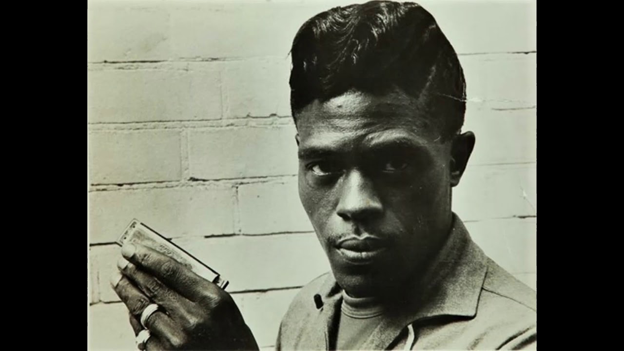 Junior Wells "Come On In This House" - YouTube