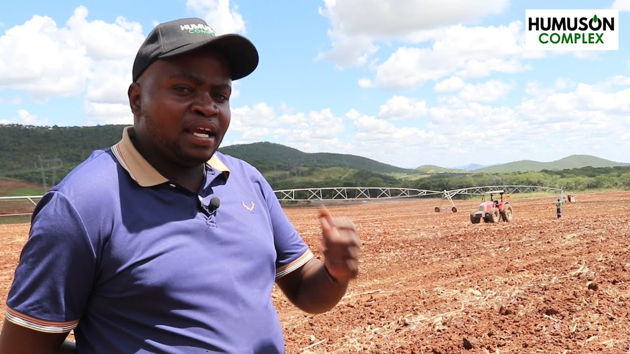 Boosting Wheat Yields with HumusOn Complex: How a Farmer is Using ...