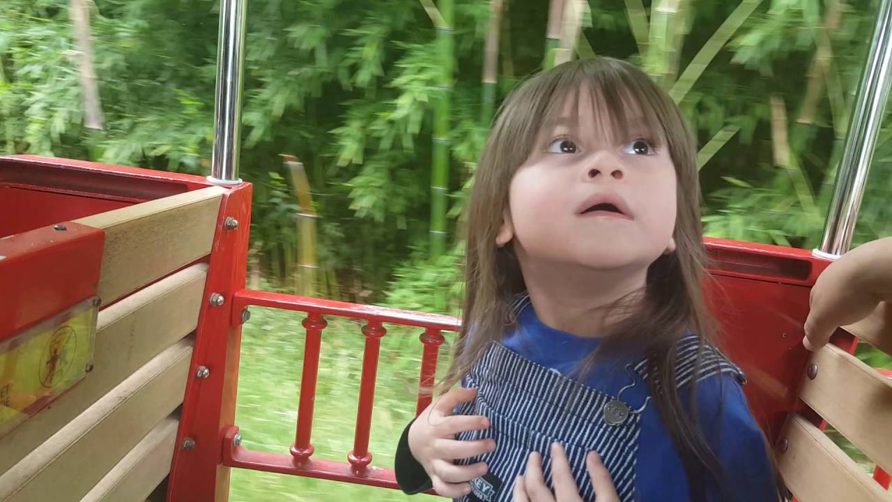 Caleb "The Jr. Engineer" rides the train AGAIN @ San Antonio Zoo - Can ...