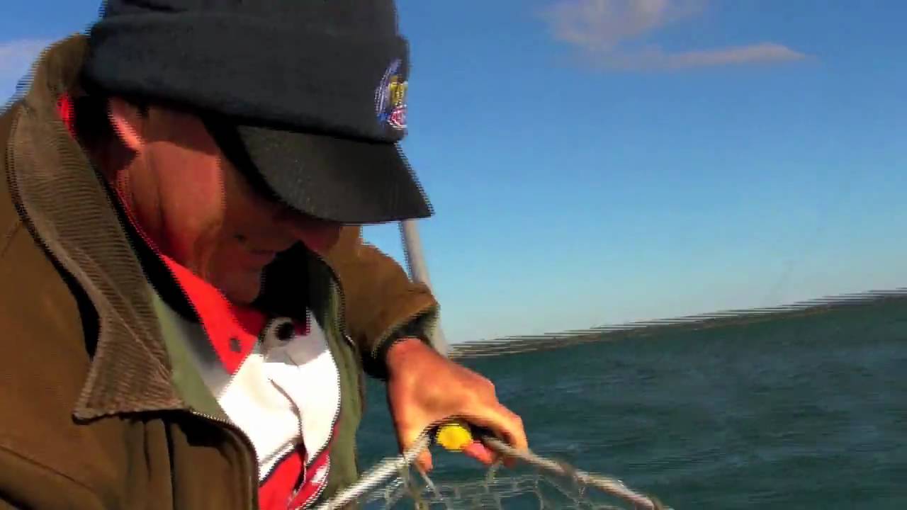 Clarence River Jew Fish: Darren 'Dizzy' Borg TT Lures - YouTube