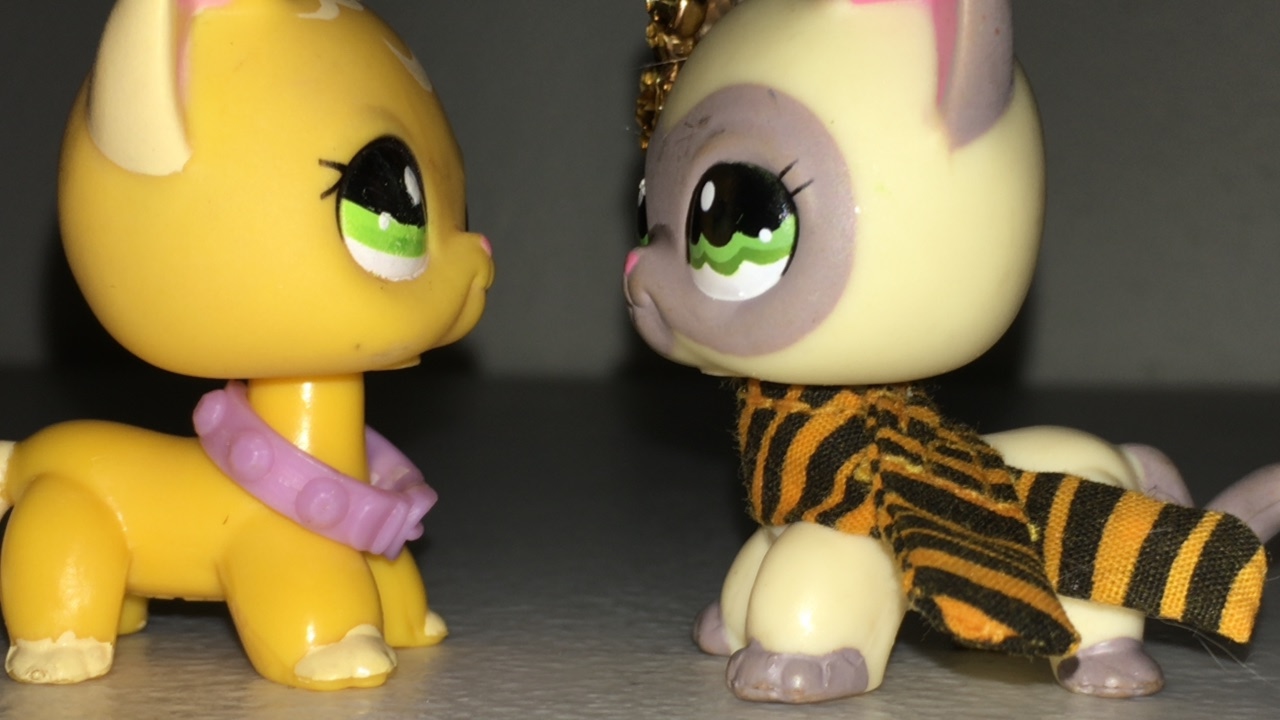 Lps Cry Baby mv - YouTube