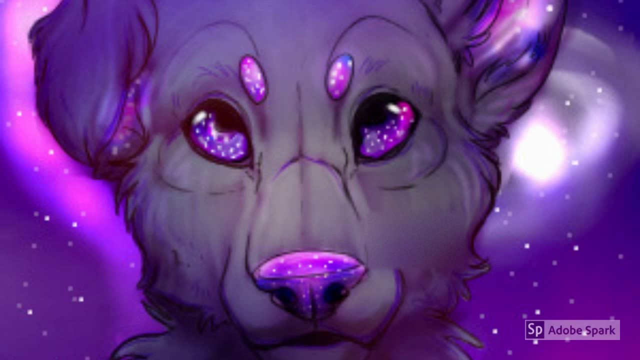 Animal intro - YouTube