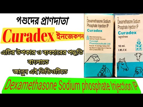 পশুদের কেন প্রয়োগ করবেন Curadex Inj।Curadex Injection Benifits & Side-effects।Curadex use in bangla
