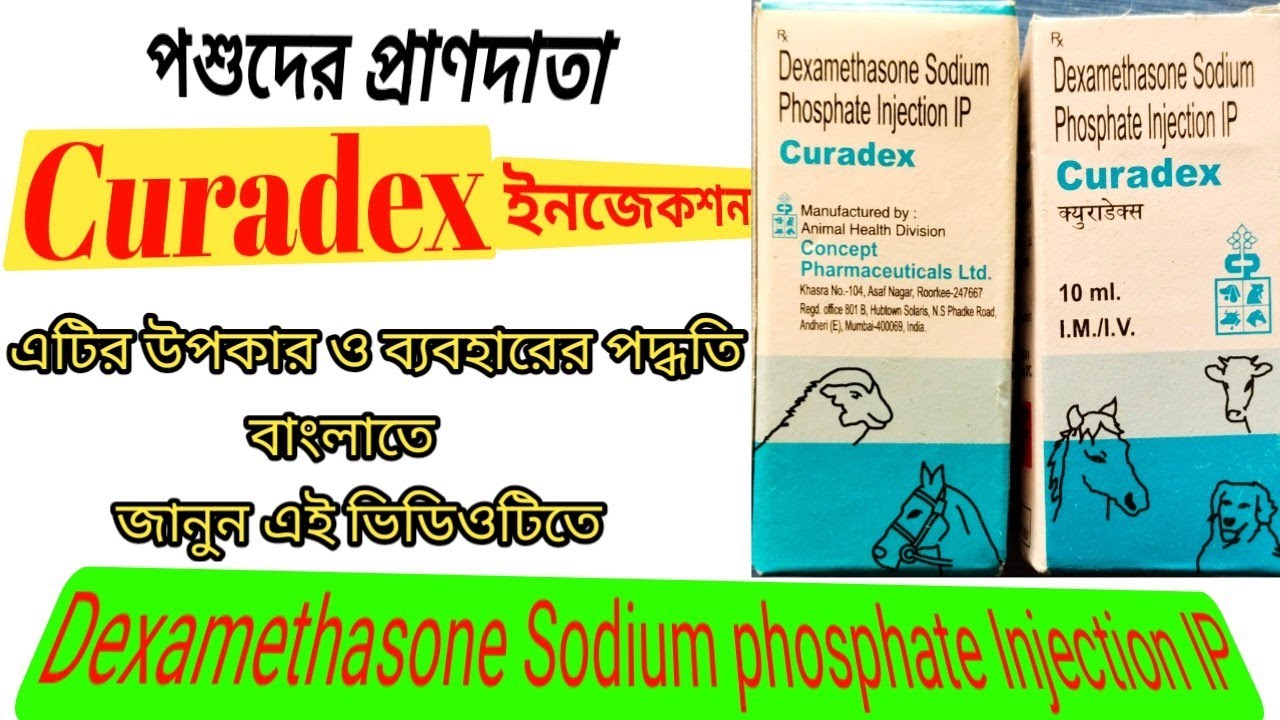 পশুদের কেন প্রয়োগ করবেন Curadex Inj।Curadex Injection Benifits & Side ...