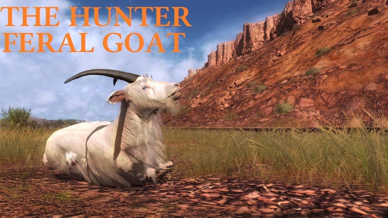 The Hunter | New Animal | Feral Goat - YouTube