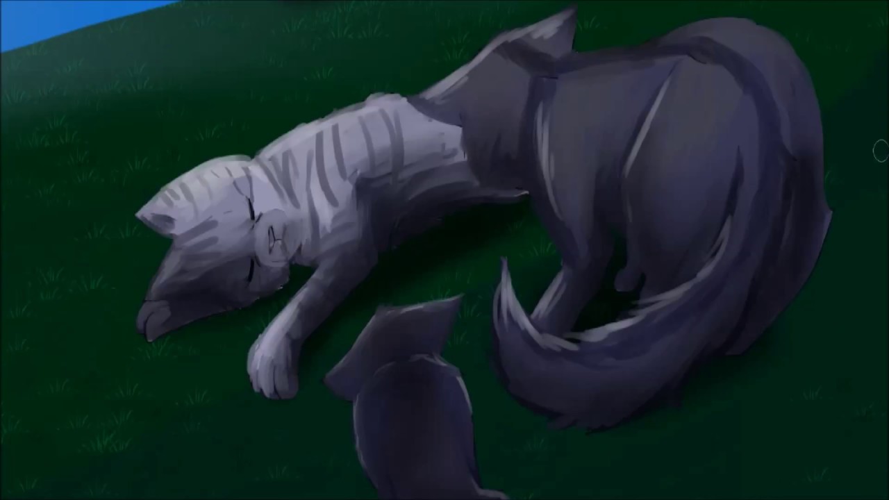 Warrior cats Silverstream's Death speedpainting - YouTube