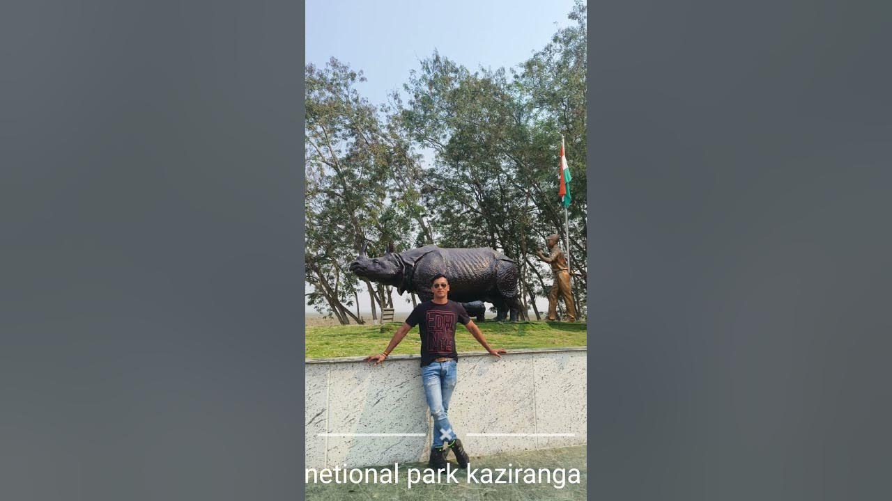 kaziranga national park - YouTube