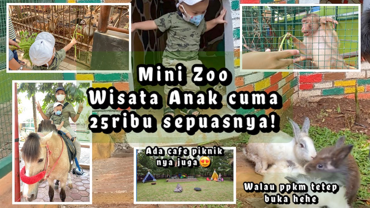 MINI ZOO WISATA ANAK YG BUKA DI JAKARTA BEKASI! WAJIB NONTON😍😍😍 - YouTube