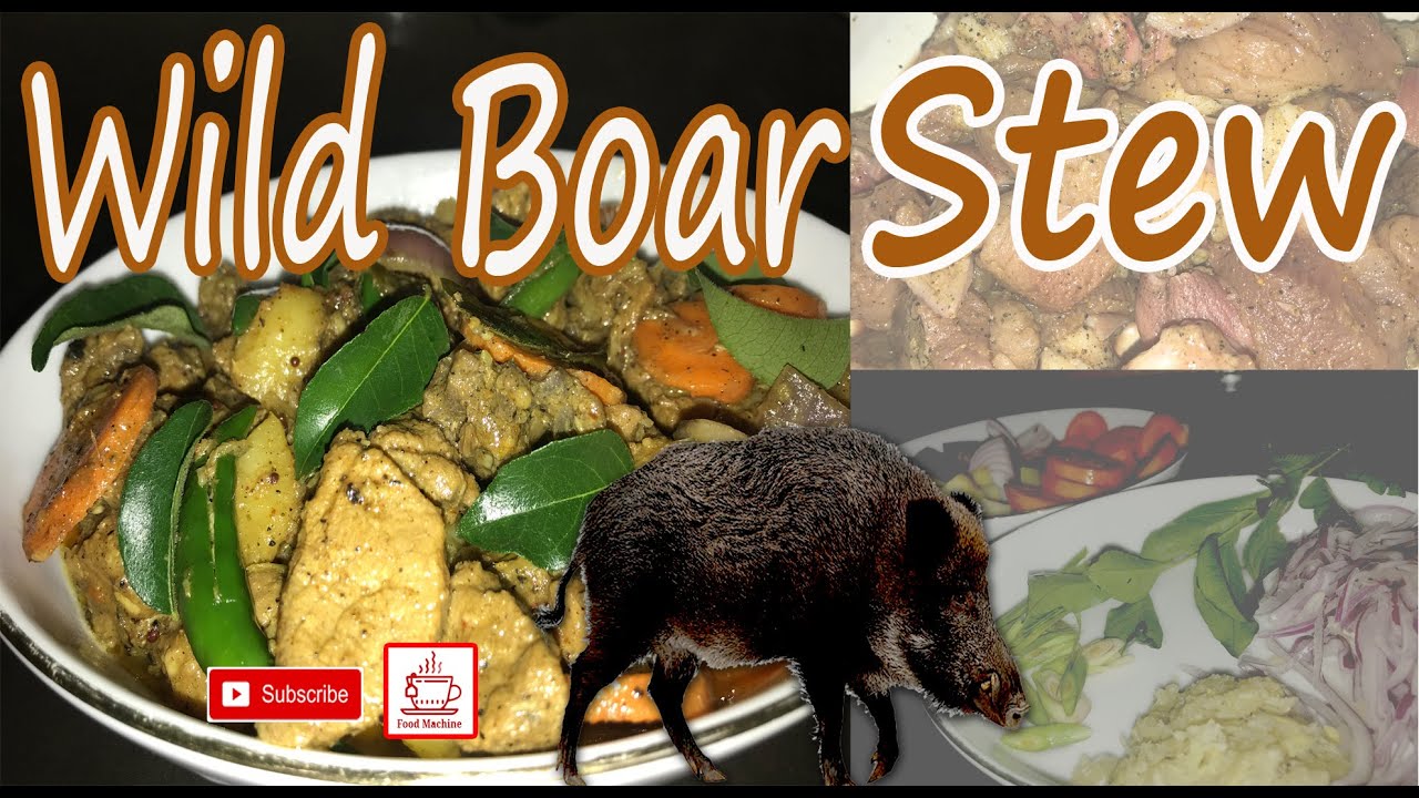 Tasty Wild boar stew |easy recipe| pork curry - YouTube