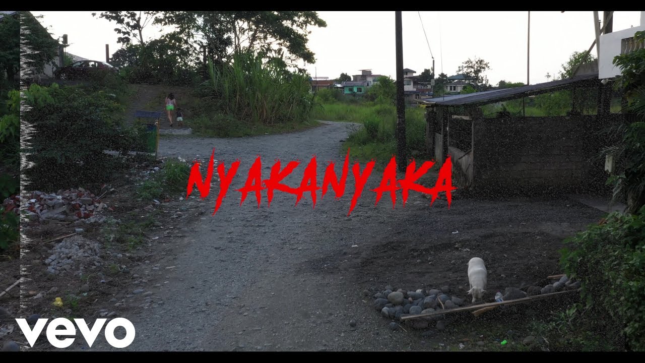 Kwesta - Nyakanyaka (Official Lyric Video) - YouTube