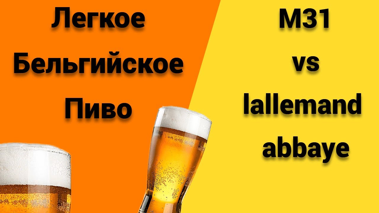 Легкое Бельгийское Пиво!Сравнение дрожжей М31 и лаллеманд абби ...