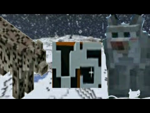 Lynx vs Snow leopard minecraft animal battles - YouTube