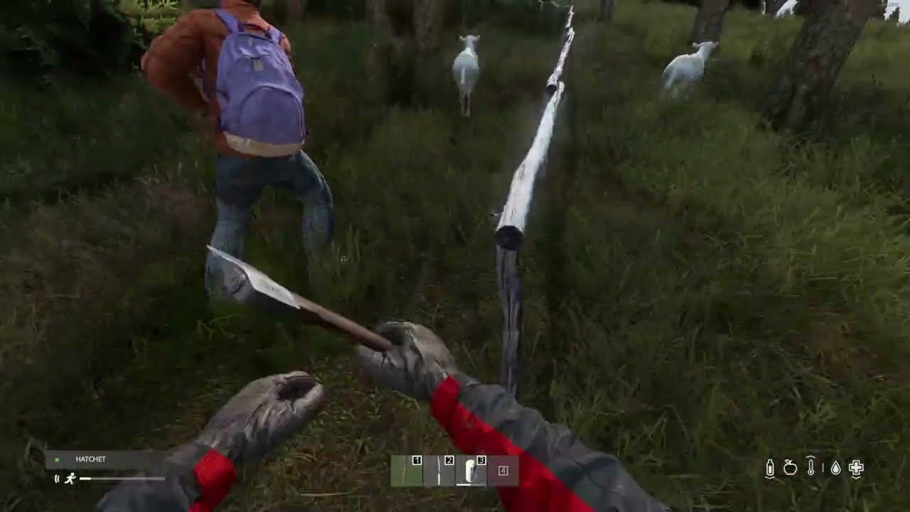 DayZ - A brief friendship in Pusta - YouTube