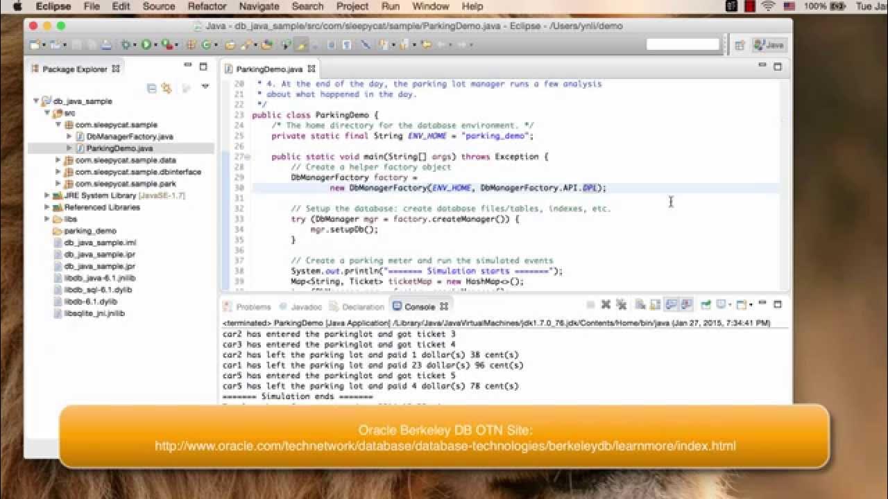 Java parking lot application with Berkeley DB in Eclipse IDE - YouTube