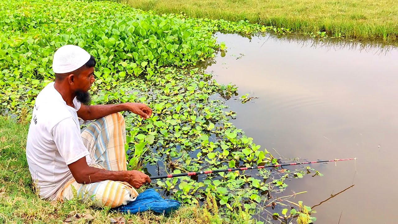 Fishing video - Professional fish hunter catching fish by hook (Part-02 ...