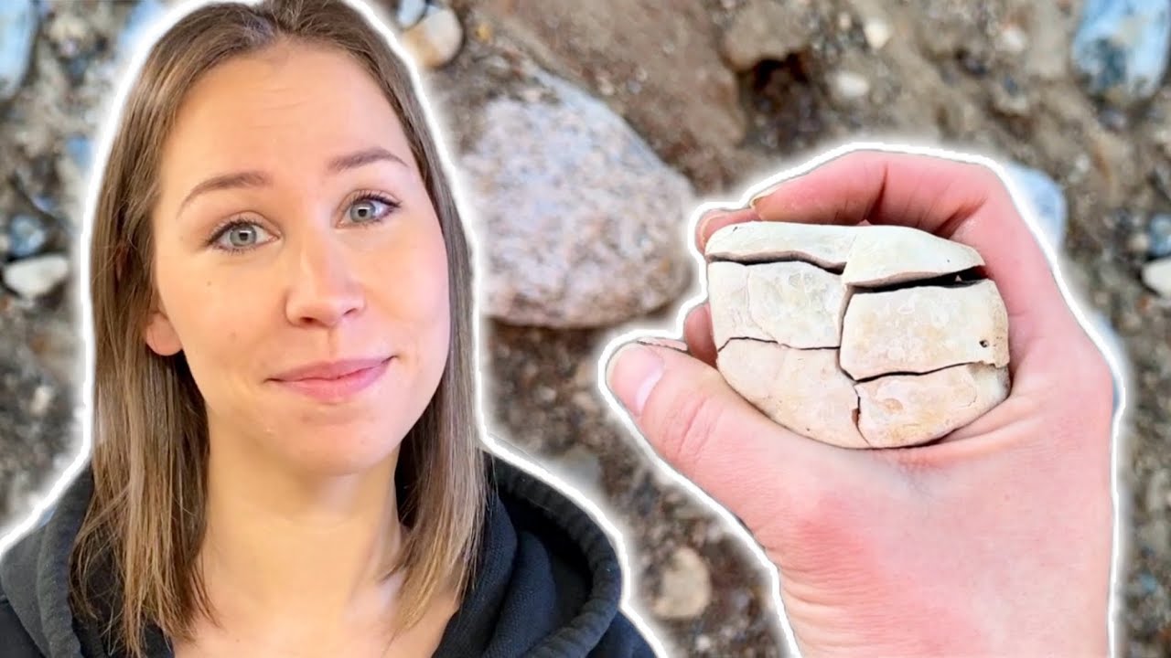 I Went Rock Hunting on a Minnesota River and Found Something ...
