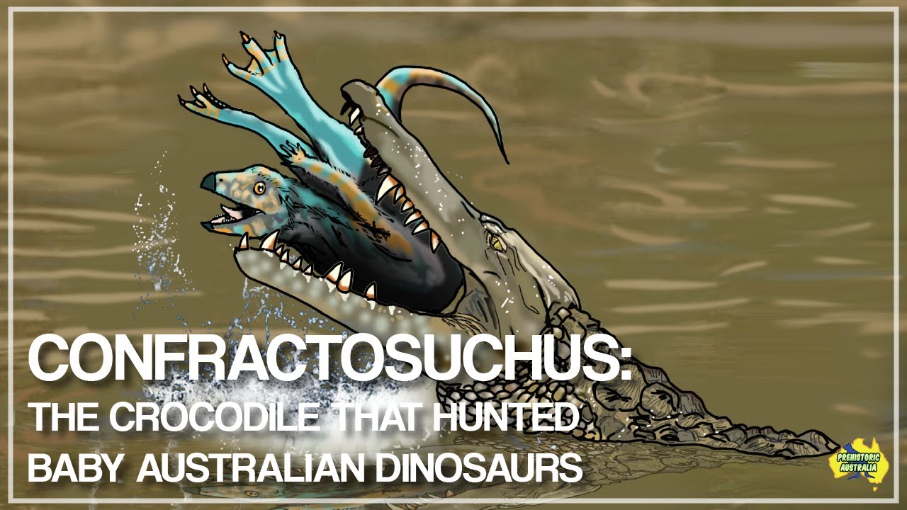 Confractosuchus: The Crocodile That Hunted Baby Australian Dinosaurs ...