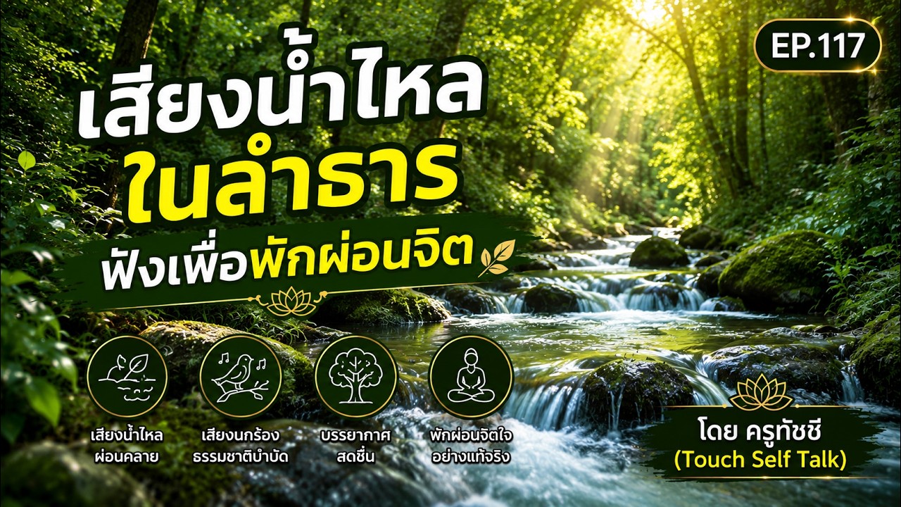 EP.117 | เสียงน้ำไหลในลำธาร ฟังเพื่อพักผ่อนจิต | ครูทัชชี่ - YouTube