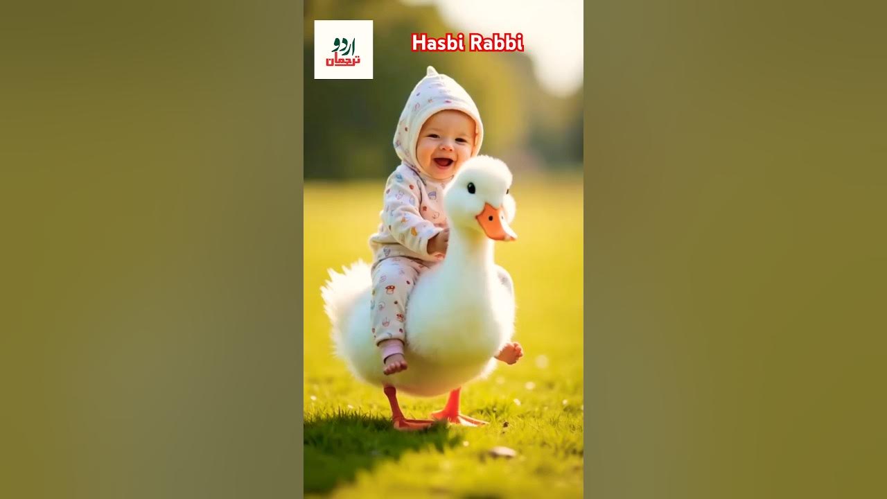 Alifun ba taun sa 🥰🤩 Naat |Beautiful Naat ♥️ cute cat 😻 #cat #cutecat #catworld #islamicshorts ...